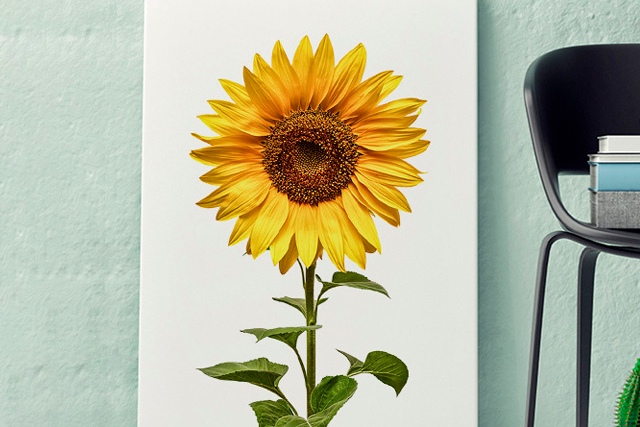 그림·사진 풍수 돈들어오는 해바라기 그림 스탠다드골든 캔버스액자 패브릭 포스터 오늘의집 쇼핑