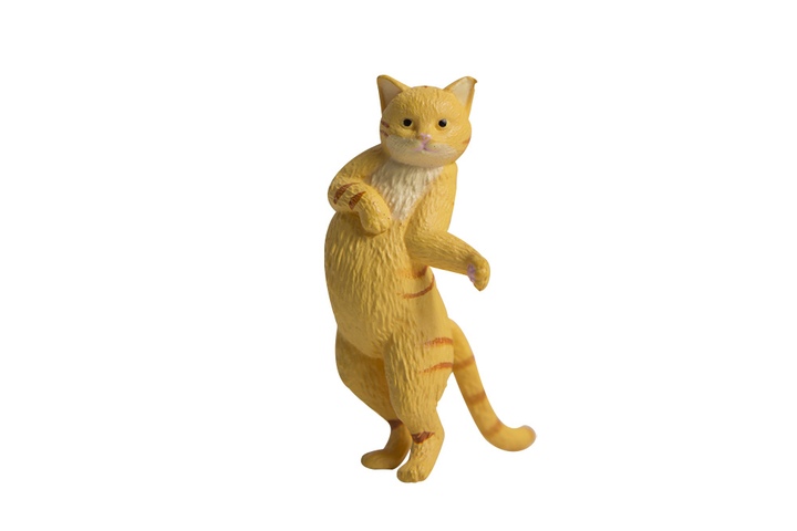 피규어·프라모델 쉘위 댄스 고양이 피규어 채트라 오늘의집 쇼핑