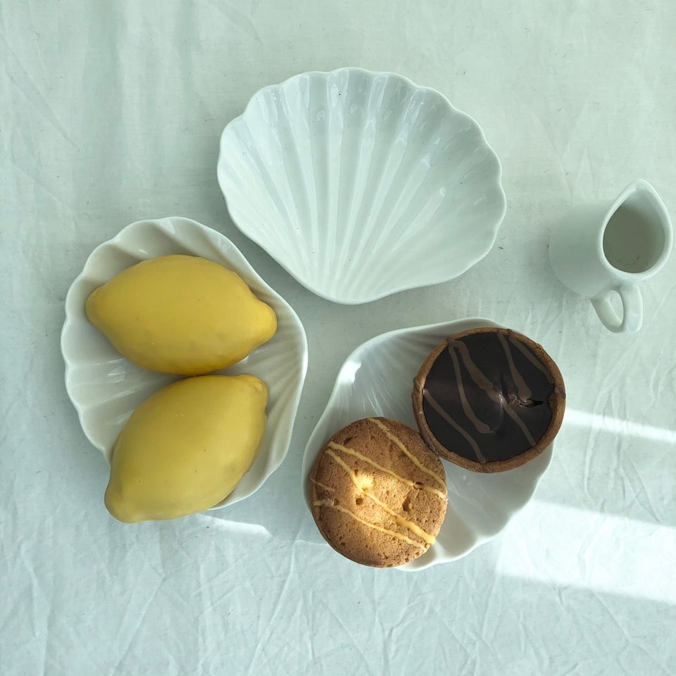 접시·플레이트 미니 조개 접시 디저트접시 오늘의집 쇼핑