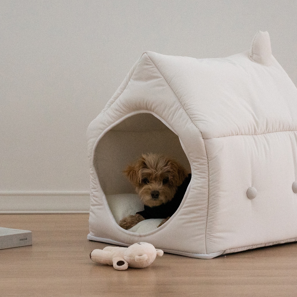 고양이 리빙 인포멀 하우스 오늘의집 쇼핑