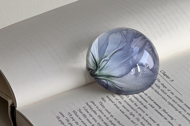 장식소품 Siciliano Paperweight 문진 오브제 오늘의집 쇼핑