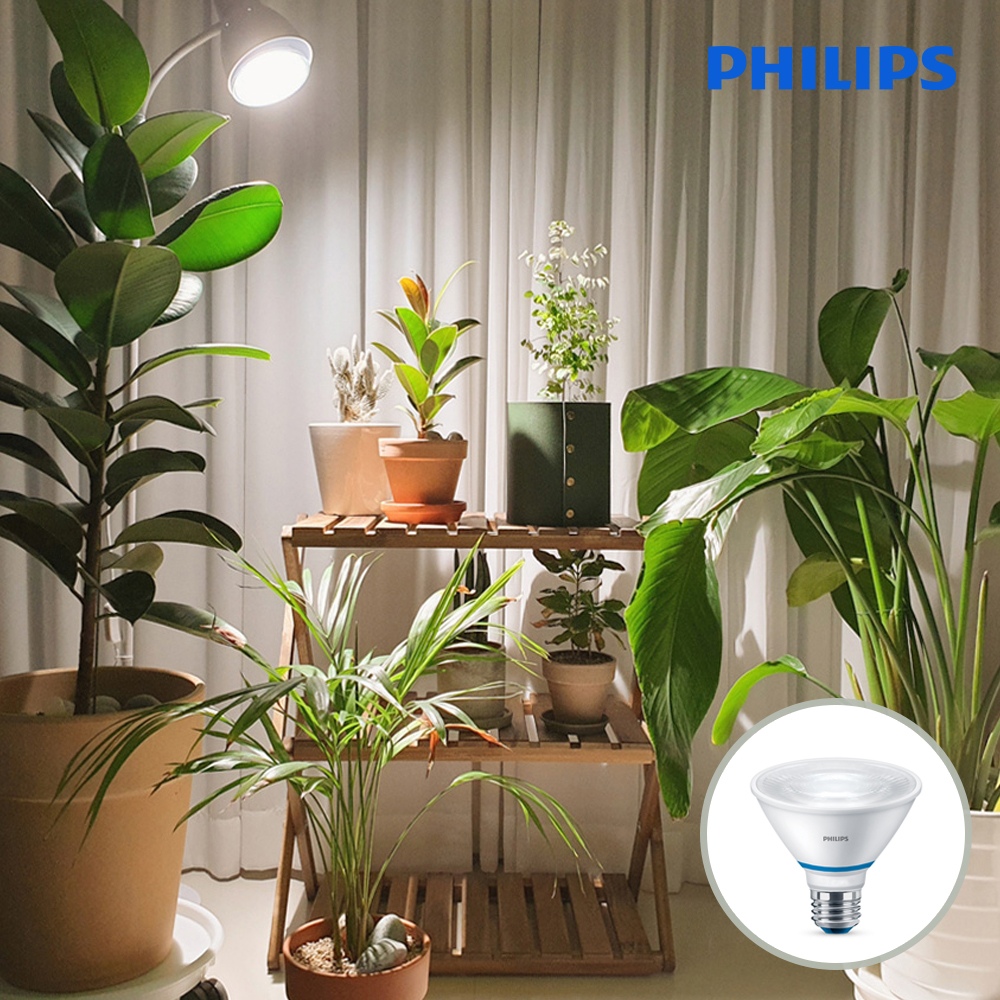 가드닝용품 Philips Par30 스팟 Led 식물조명 식물등 오늘의집 쇼핑