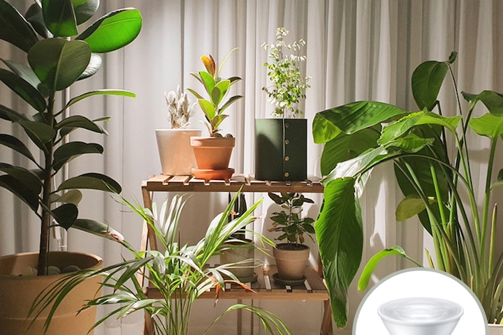 가드닝용품 Philips Par30 스팟 Led 식물조명 식물등 오늘의집 쇼핑