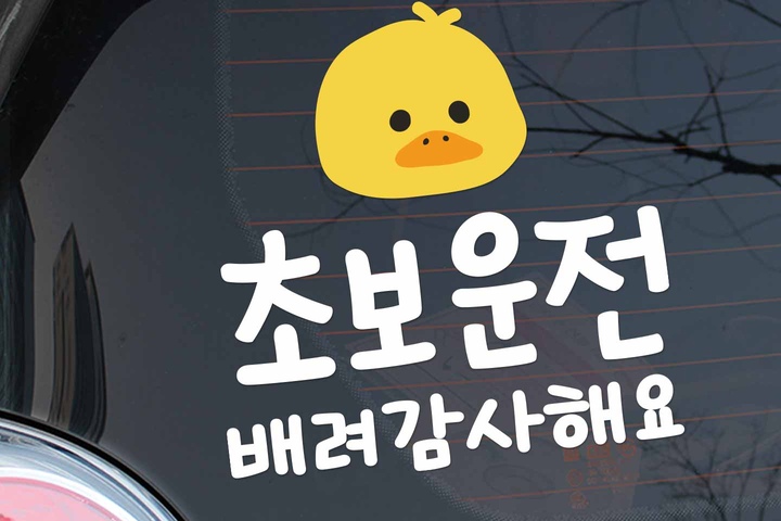 익스테리어용품 초보운전 포인트 병아리 차량용 스티커 오늘의집 쇼핑