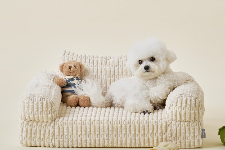 강아지 리빙 봉봉 강아지 고양이 펫소파 메모리폼 쿠션 방석 3size 4colors 오늘의집 쇼핑