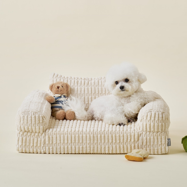 강아지 리빙 봉봉 강아지 고양이 펫소파 메모리폼 쿠션 방석 3size 4colors 오늘의집 쇼핑