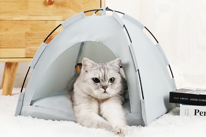 강아지 리빙 힐링 펫 강아지 고양이 텐트 하우스 숨숨집 애견텐트 고양이집 강아지텐트 강아지집 오늘의집 쇼핑