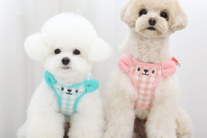 강아지 외출 썬블리 원터치 하네스 3colors 오늘의집 쇼핑
