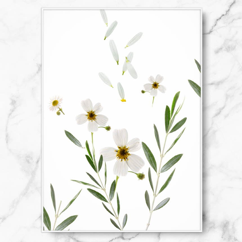 그림·사진 > 이달의 특가 포스터 SET | 오늘의집 쇼핑