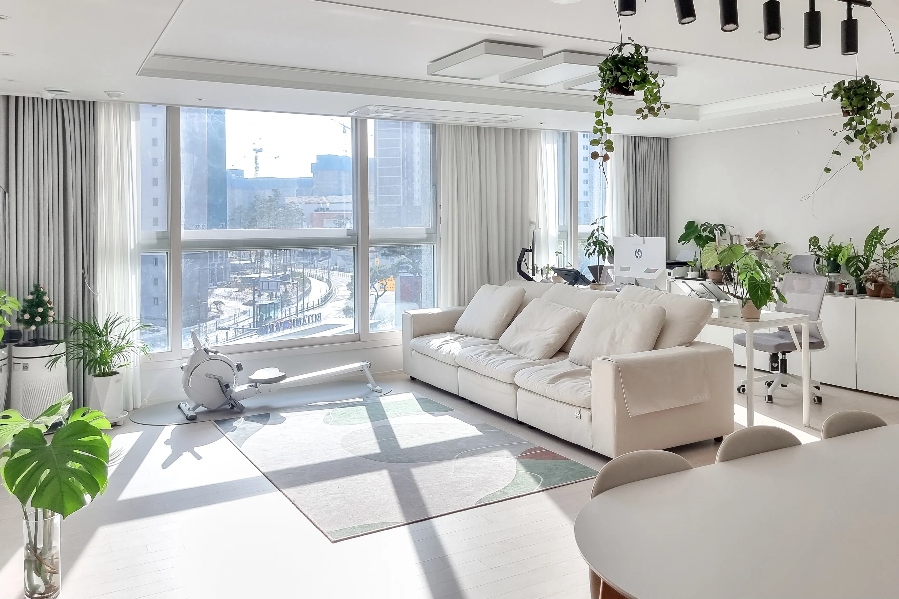 홈오피스를 담은 우리집 플랜테리어로 생기 더하기🌿 라이프스타일 슈퍼앱 오늘의집