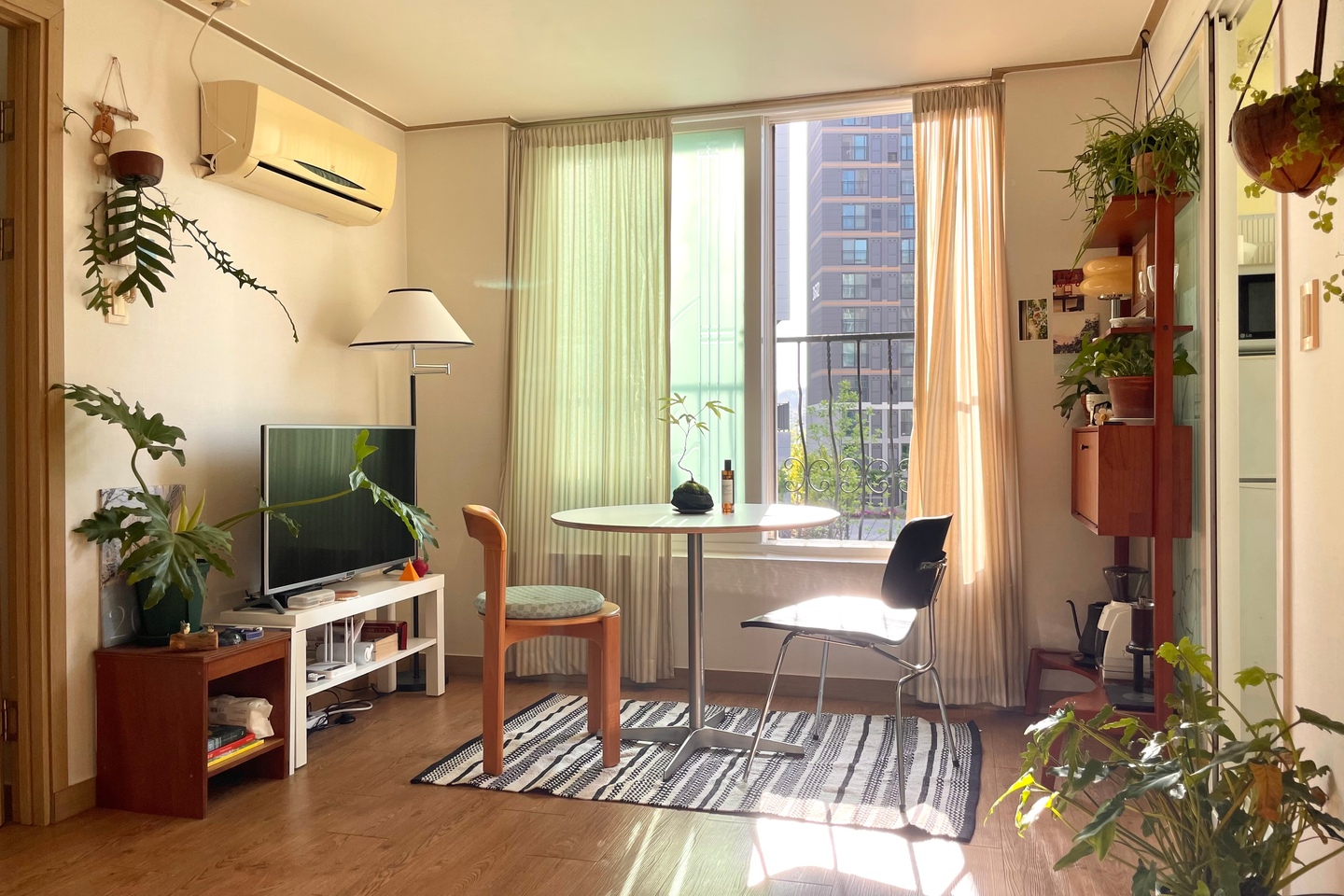 일러스트 작가의 싱글 홈 빈티지플랜테리어로 집꾸미기 라이프스타일 슈퍼앱 오늘의집