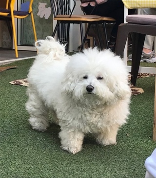 Eunuchy님의 공간에 오신 것을 환영합니다.