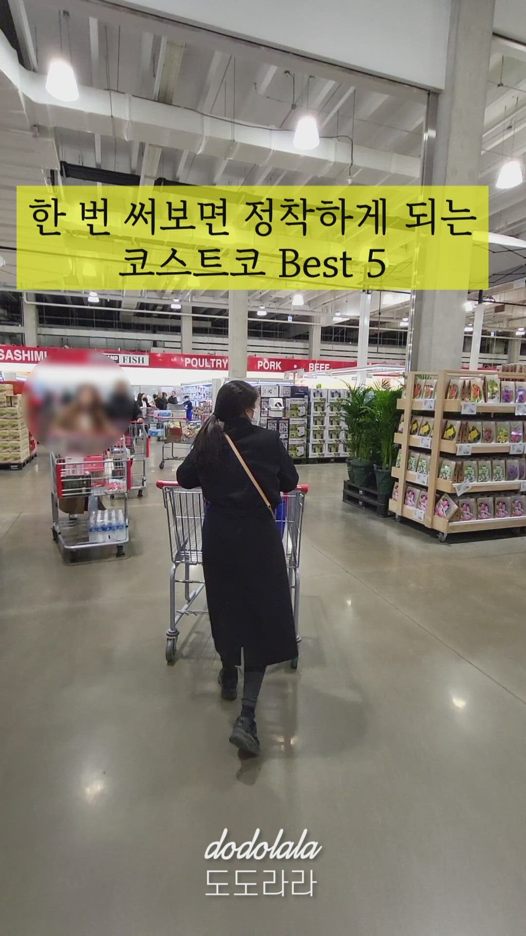 도도라라dodolala 님의 라이프스타일 | 라이프스타일 슈퍼앱, 오늘의집